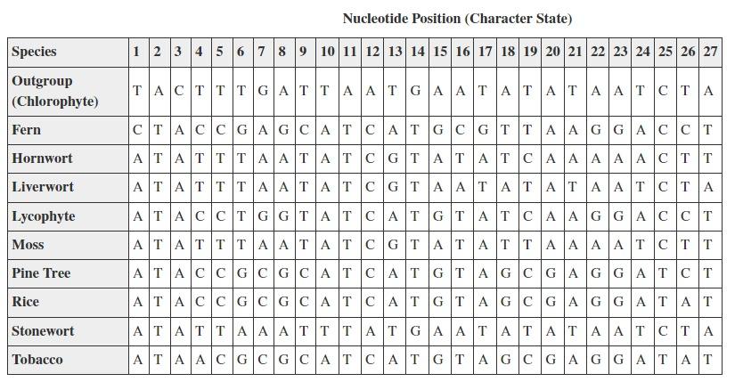 Solved Nucleotide Position (Character State) How many | Chegg.com