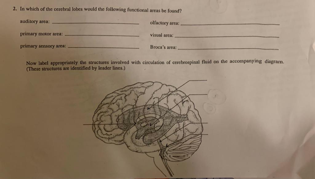 Solved Now label appropriately the structures involved with | Chegg.com