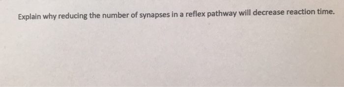 Solved Explain why reducing the number of synapses in a | Chegg.com