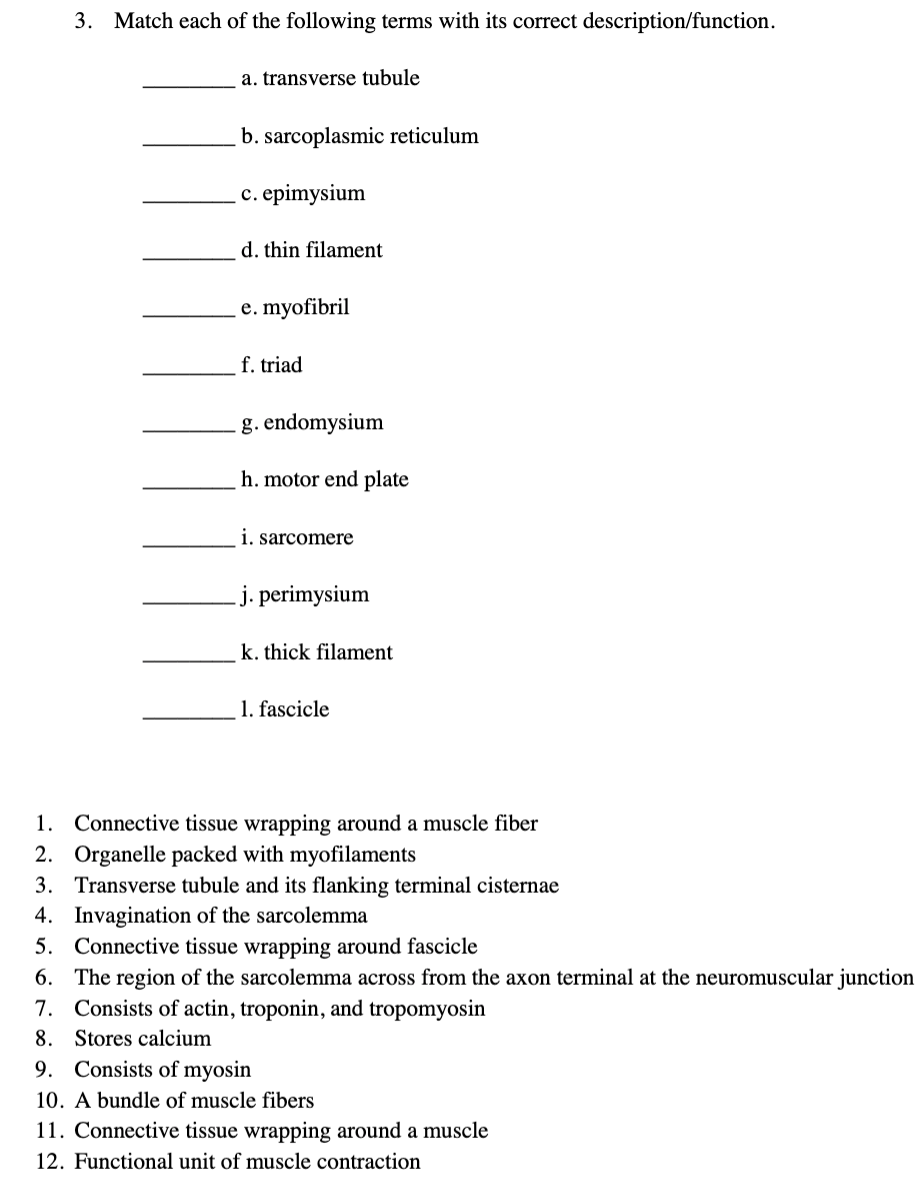 Solved 3. Match each of the following terms with its correct | Chegg.com