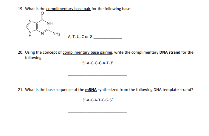 Solved 19. What is the complimentary base pair for the | Chegg.com