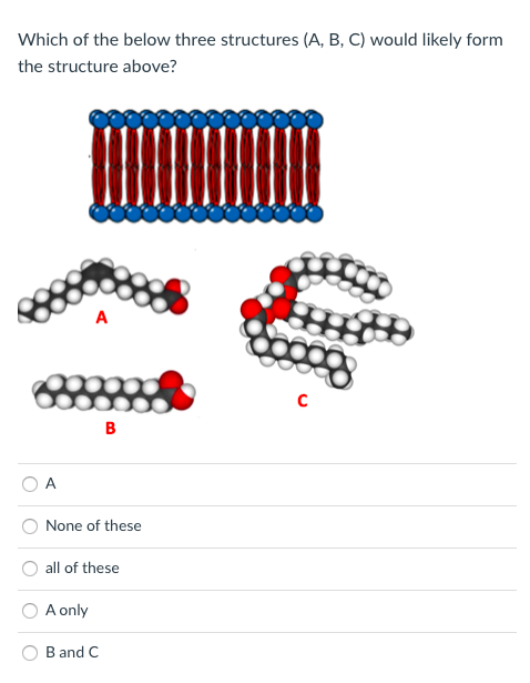 Solved Which of the below three structures (A, B, C) would | Chegg.com