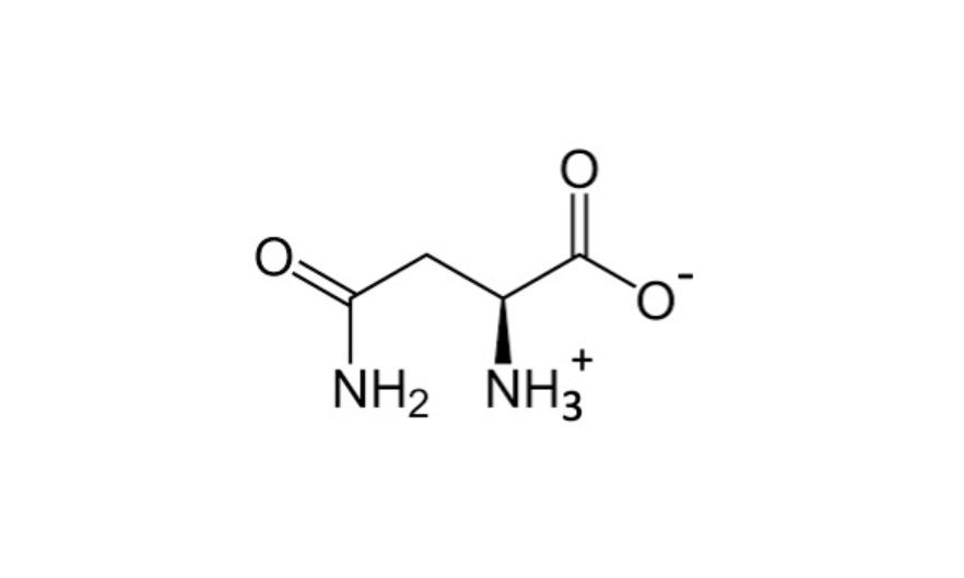 Solved + NH2 NH3 | Chegg.com