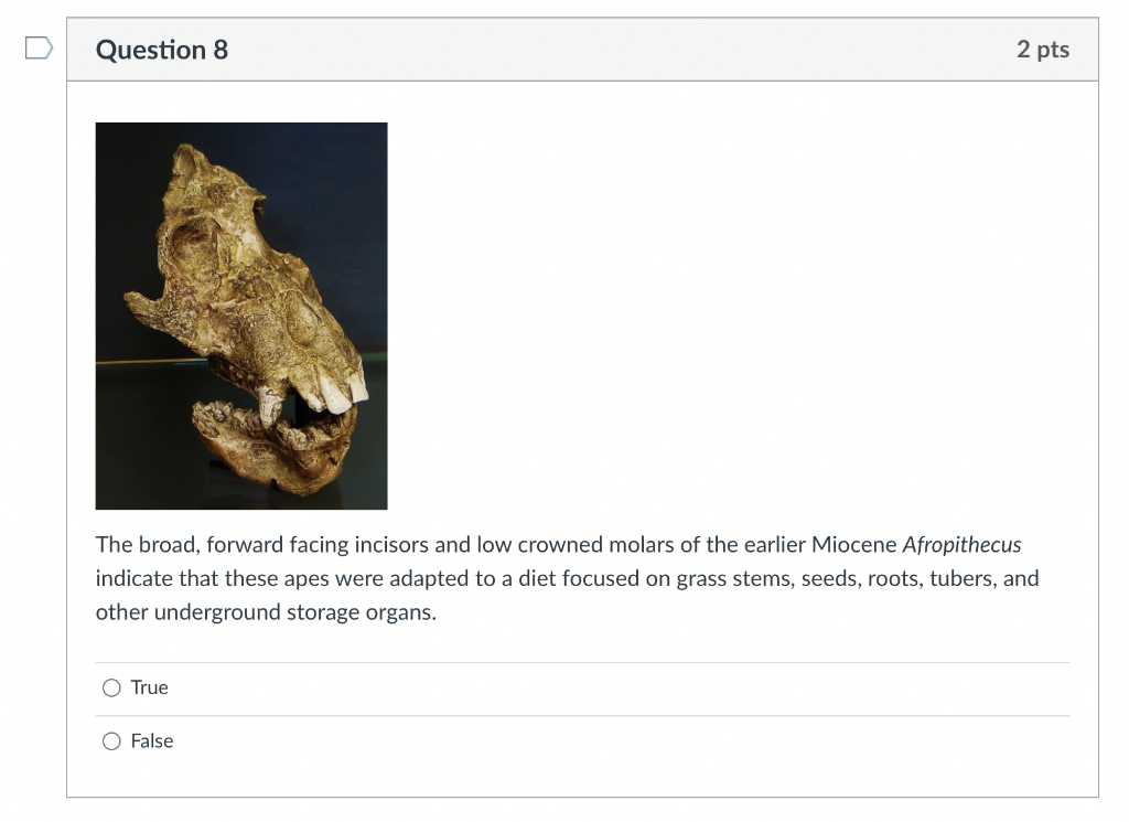 Solved Question 7 2 pts Fossils of the known skeletons of | Chegg.com