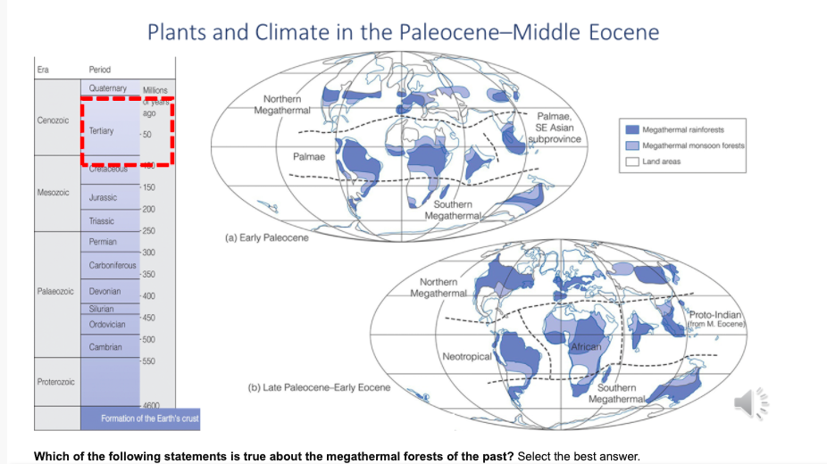 Eocene Epoch Climate