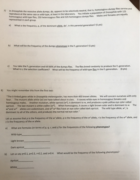 Solved In Drosophila the recessive allele dumpy, dp, appears | Chegg.com