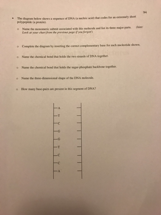 Solved 94 DNA (a nucleic acid) that codes for an extremely | Chegg.com