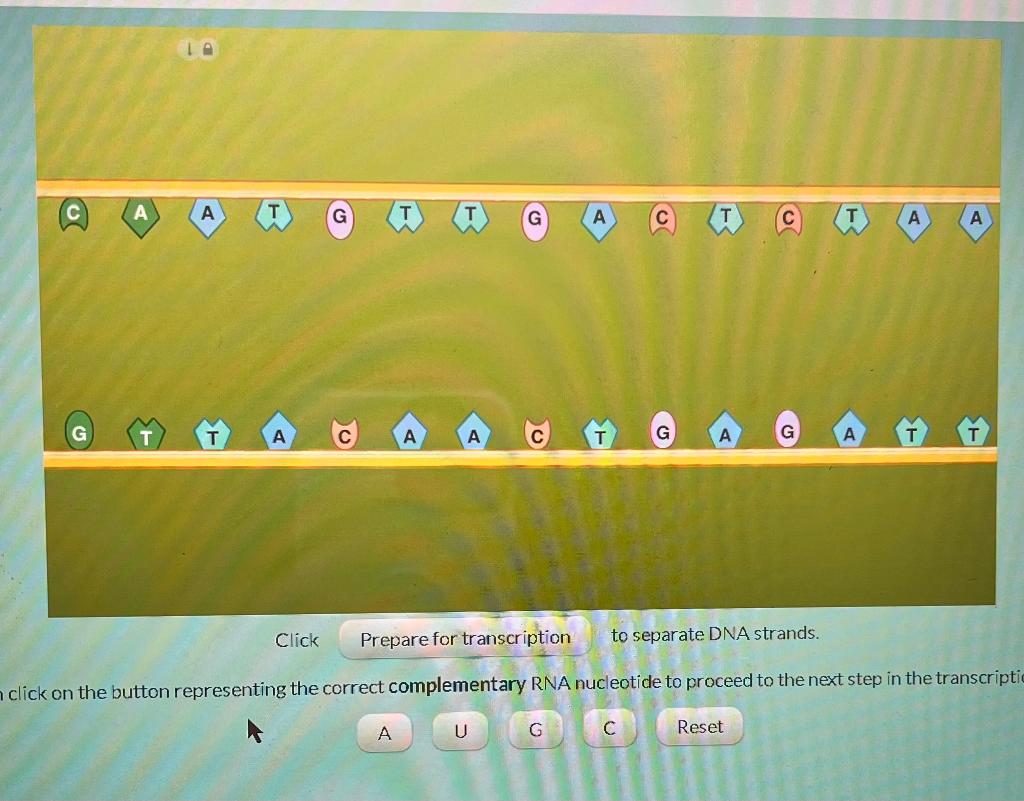 Solved ick on the button representing the correct | Chegg.com
