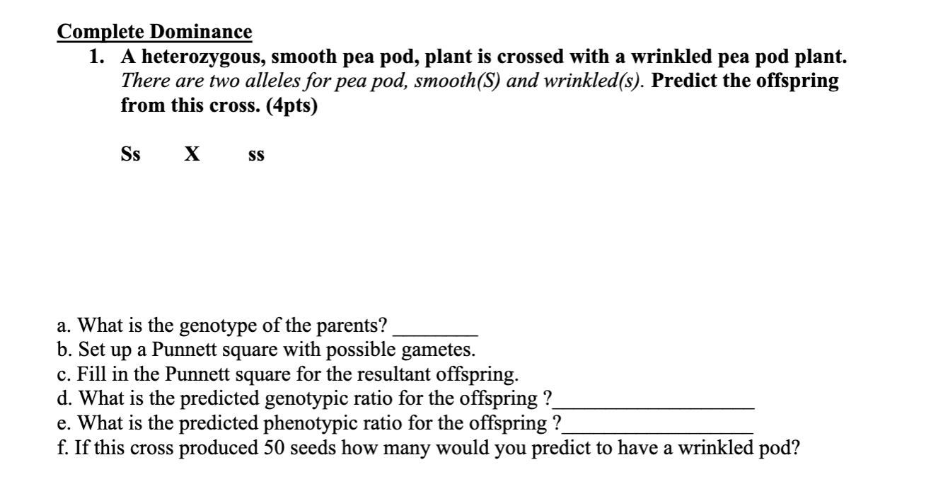 Solved Complete Dominance 1. A heterozygous, smooth pea pod, | Chegg.com