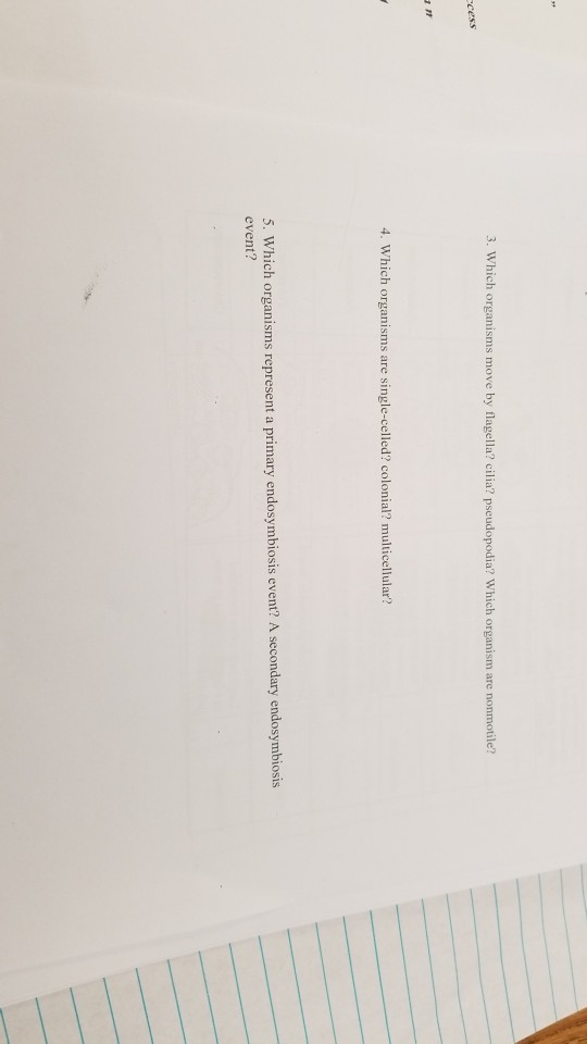 Protist Lab Post-Lab Activity Protist Revievw Answer | Chegg.com