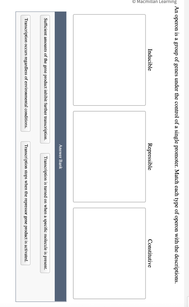 Solved An operon is a group of genes under the control of a | Chegg.com