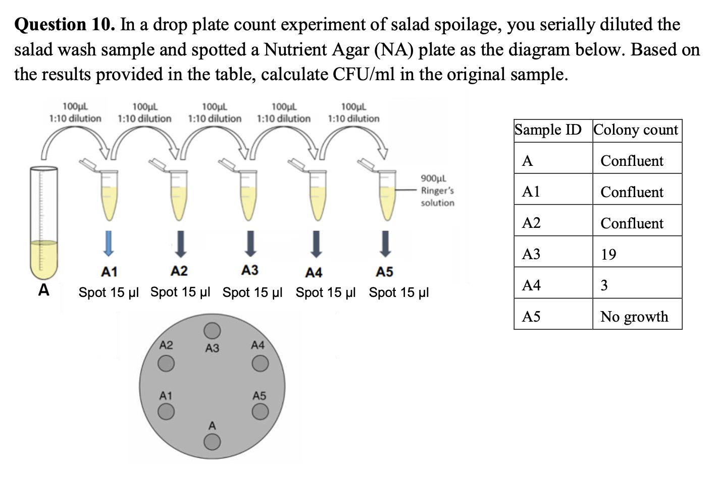 Solved Question 10. In a drop plate count experiment of | Chegg.com