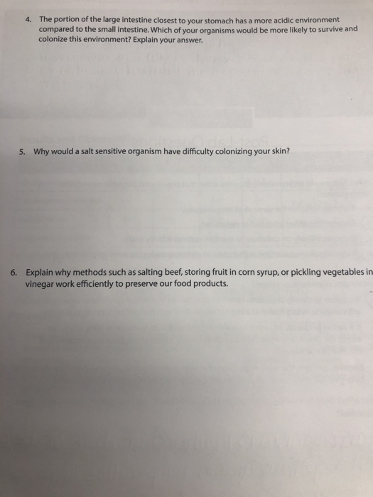 Solved DATE: NAME: SECTION: EXERCISE 9 Post-Lab Questions 1. | Chegg.com
