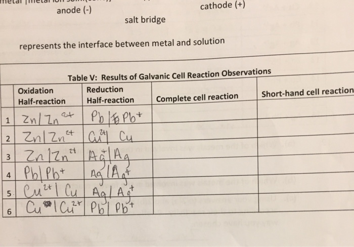 Solved anode (-) cathode (+) salt bridge represents the | Chegg.com
