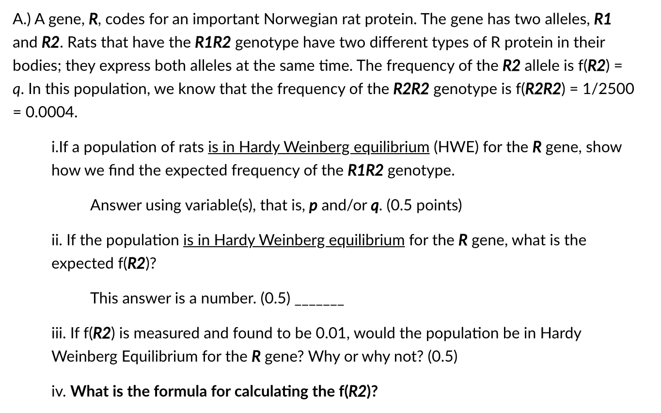 Solved A.) A gene, R, codes for an important Norwegian rat | Chegg.com