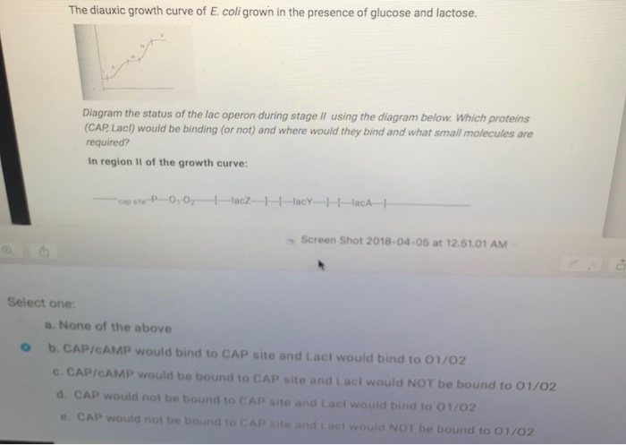 Solved The diauxic growth curve of E. coli grown in the | Chegg.com