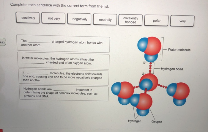 Solved Complete each sentence with the correct term from the | Chegg.com