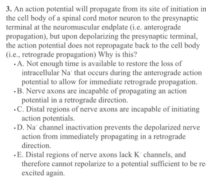 Solved 3. An action potential will propagate from its site | Chegg.com
