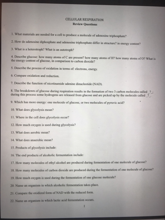 Solved CELLULAR RESPIRATION Review Questions 1. What | Chegg.com