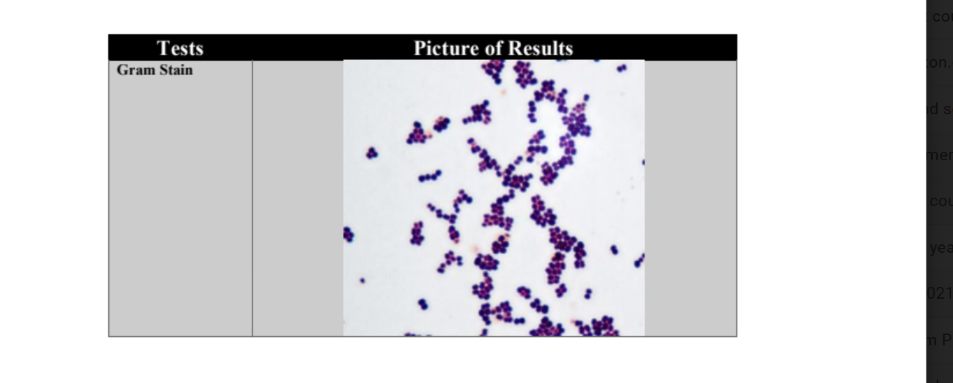 Solved со Tests Gram Stain Picture of Results on. ds. ner | Chegg.com