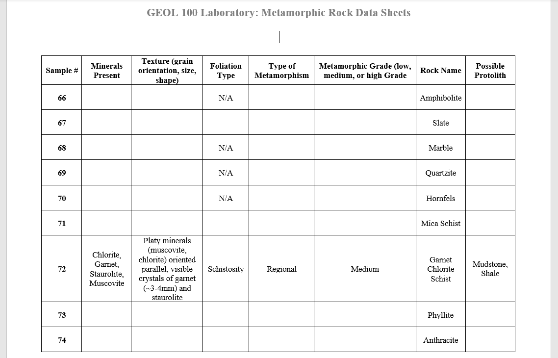 Solved GEOL 100 Laboratory: Metamorphic Rock Data Sheets | Chegg.com
