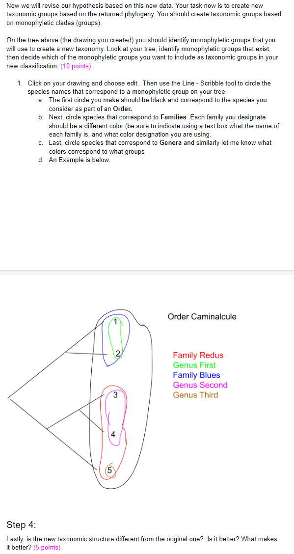 Solved Family Genus Order Redus (red) Caminacula | Chegg.com