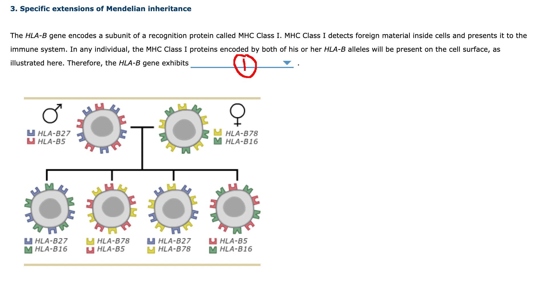 Solved 3. Specific extensions of Mendelian inheritance The | Chegg.com