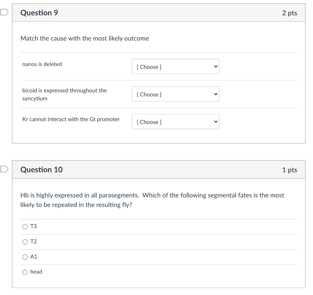 anterior posterior maternal effect genes bicoid (Bcd) | Chegg.com