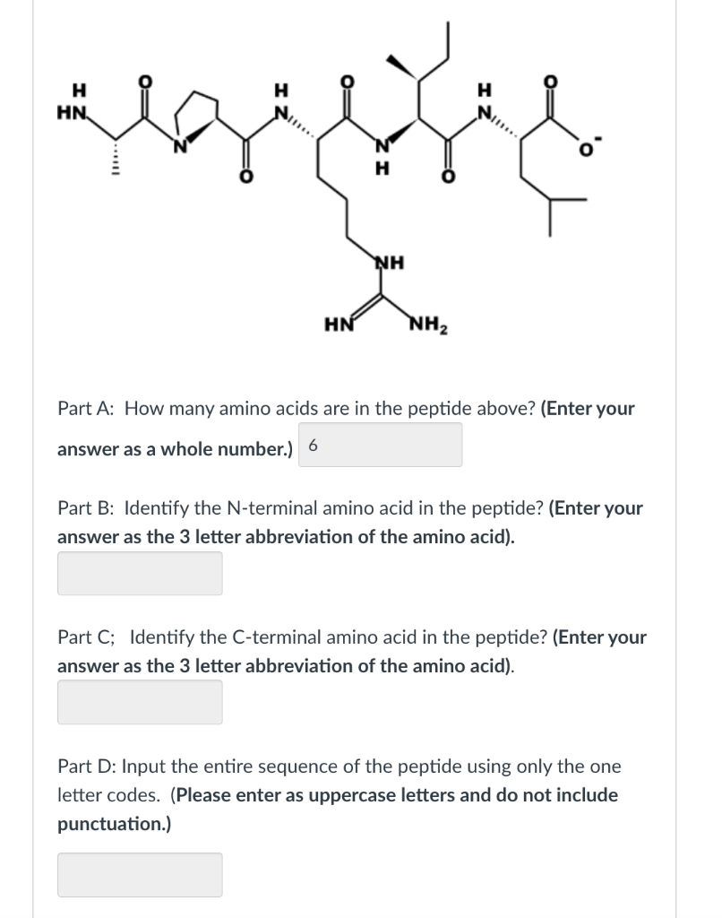 Solved Examine the following peptide: | Chegg.com