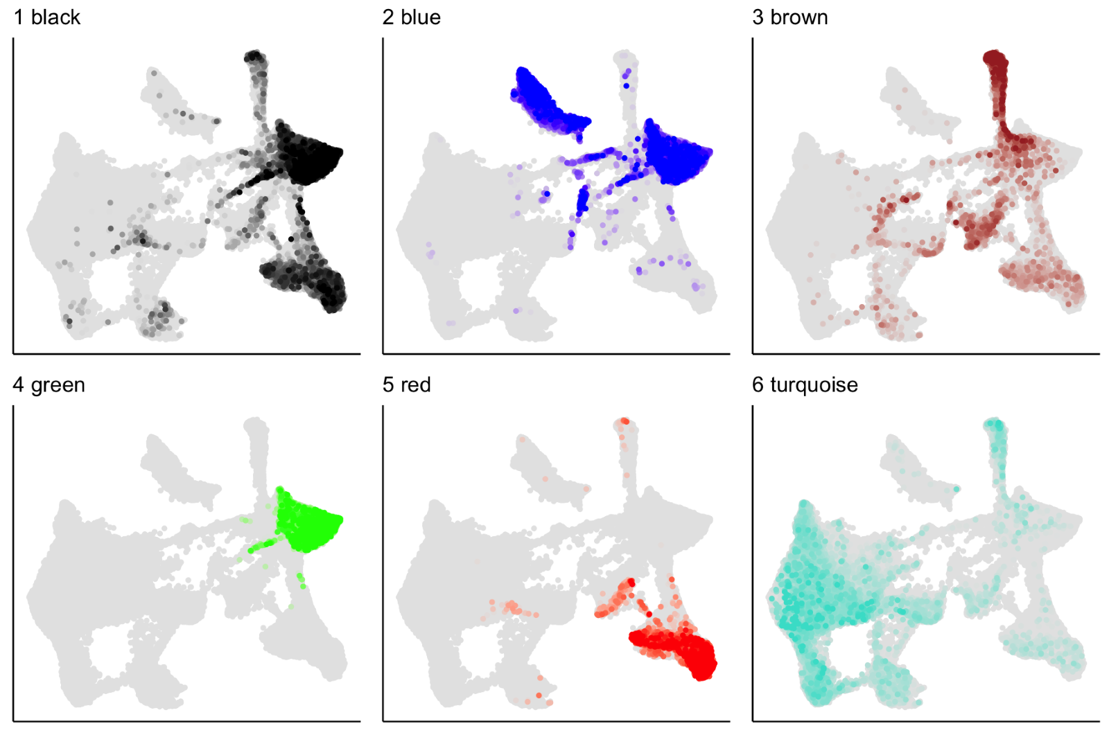 Solved 1 black 2 blue 3 brown 4 green 5 red 6 turquoise | Chegg.com