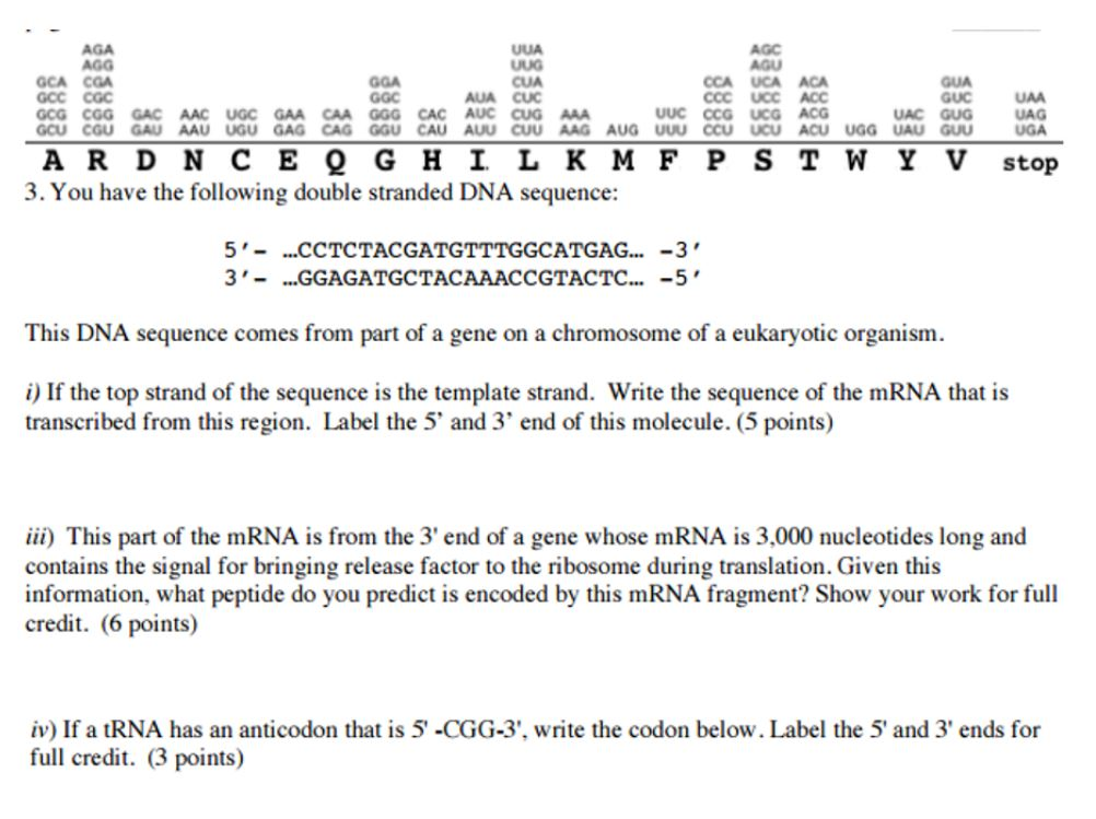 Solved AGA UUA AGC GGA GGC CCA UCA ACA CUA AUA CUC GCA CGA | Chegg.com