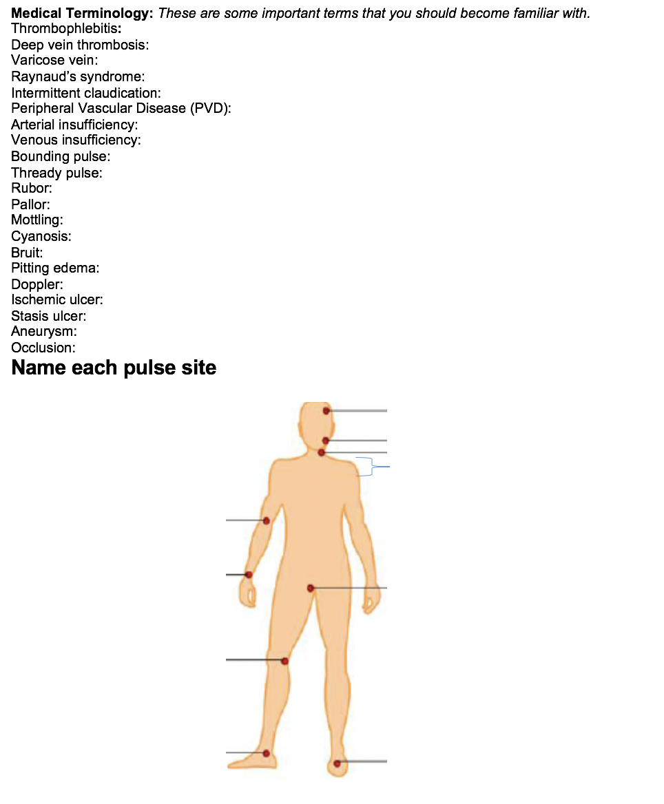 Solved Medical Terminology: These are some important terms | Chegg.com