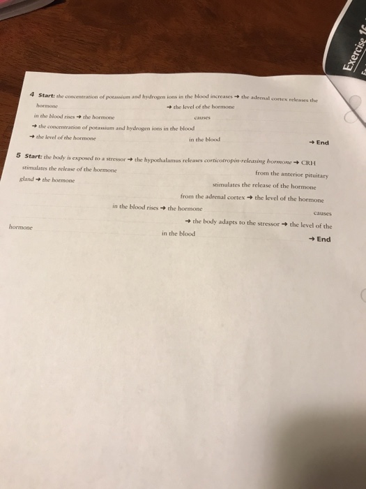 Solved Procedure 2 Time to Trace Let's now trace the entire | Chegg.com