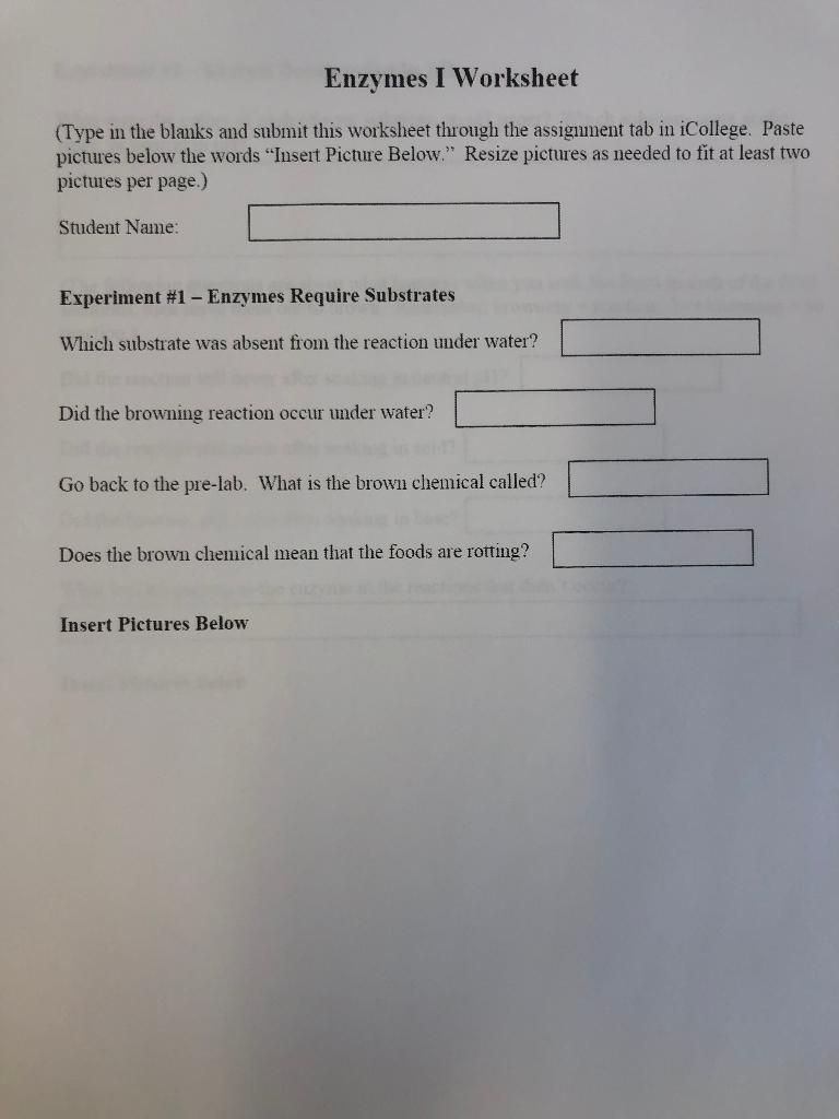 Solved Experiment #1 - Enzymes Require Substrates | Chegg.com