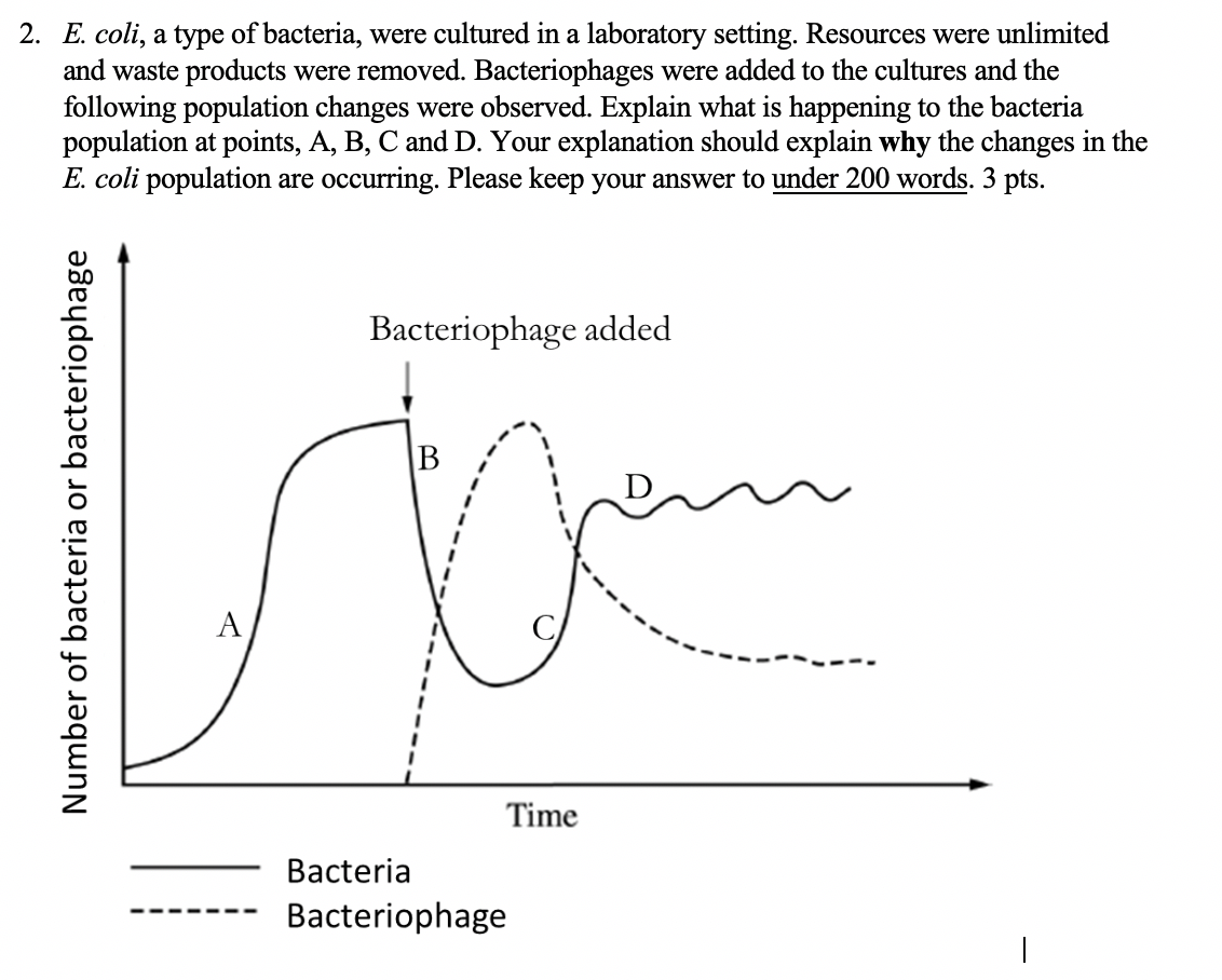 Solved: 2. E. Coli, A Type Of Bacteria, Were Cultured In A... | Chegg.com
