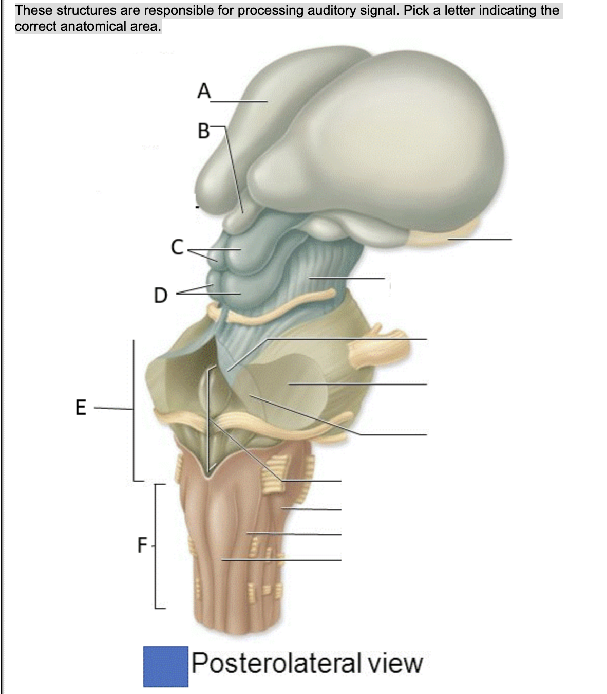Solved These structures are responsible for processing | Chegg.com