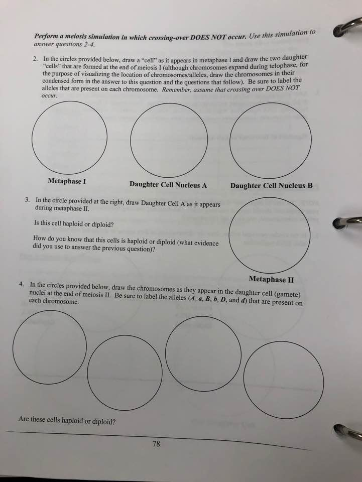 Solved Part 1: Observing Mitosis in Plant Cell Find and | Chegg.com