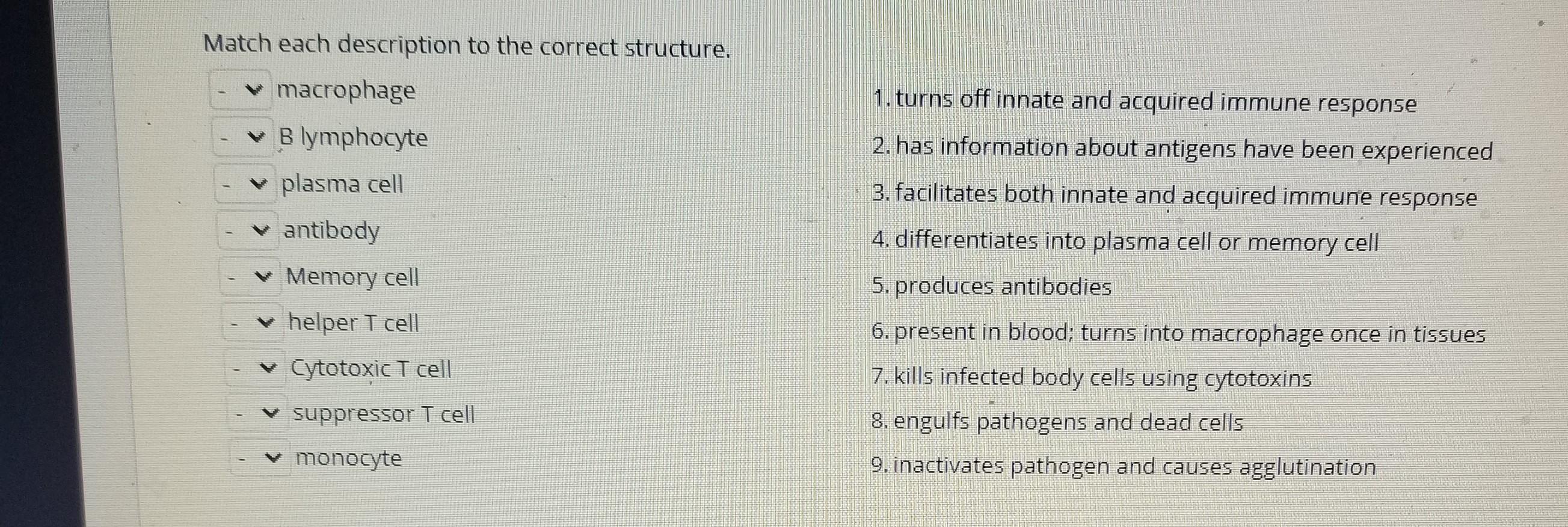 Solved Match each description to the correct structure. | Chegg.com