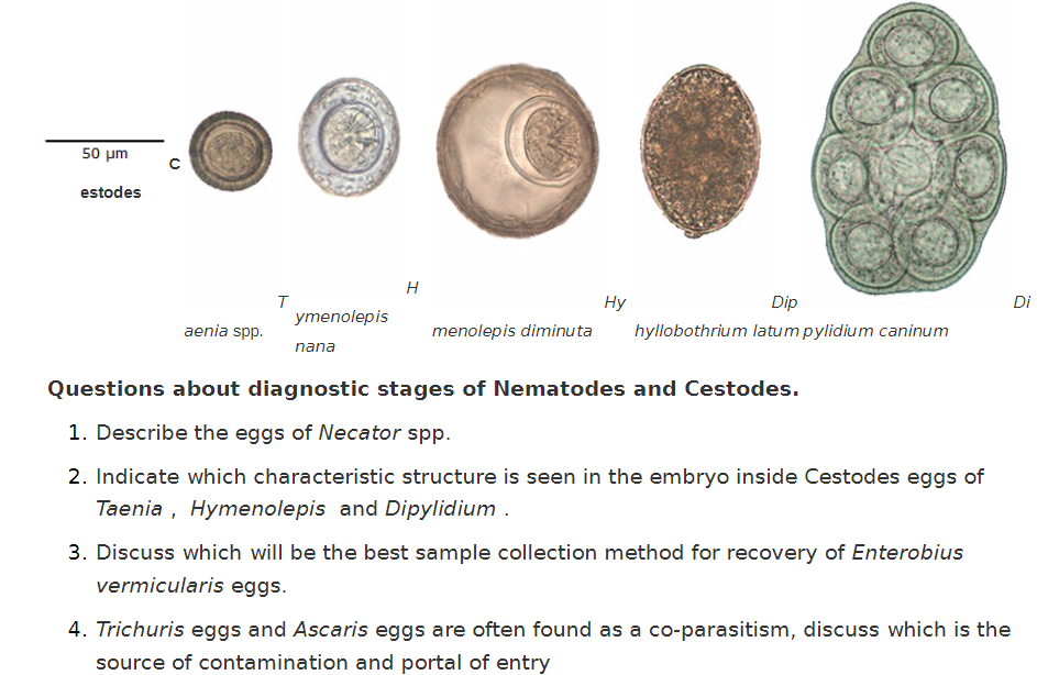 Solved Nematode and Cestode Eggs Found in Stool Specimens of | Chegg.com
