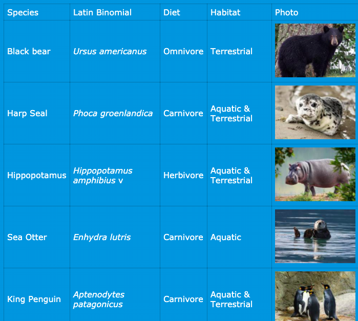 Solved Species Latin Binomial Diet Habitat Photo Black bear | Chegg.com