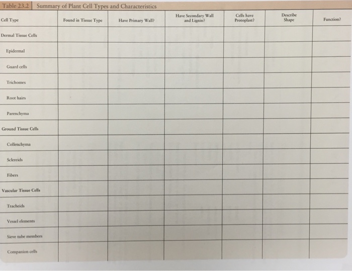 Solved Table 23.2 Summary of Plant Cell Types and | Chegg.com