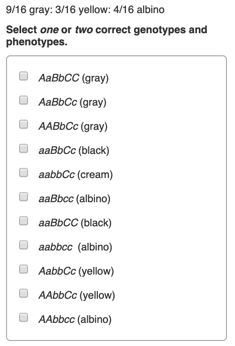 Solved In rats, the following genotypes of two independently | Chegg.com