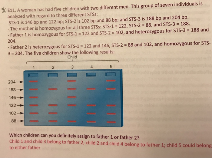 Solved Could you please explain how to approach this | Chegg.com
