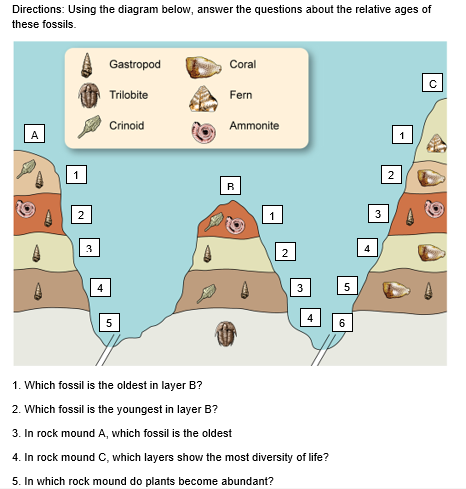 Directions: Using the diagram below, answer the | Chegg.com