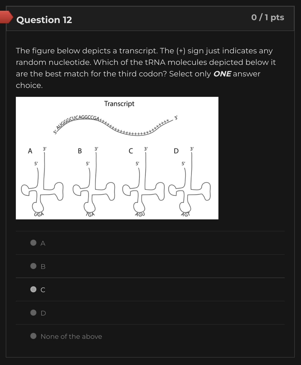 Solved Question 12The figure below depicts a transcript. The | Chegg.com