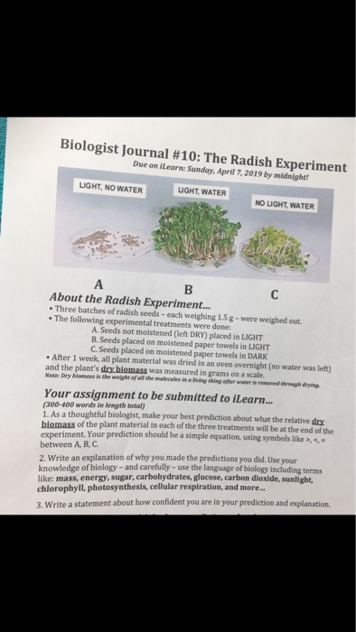 Solved Biologist Journal #10: The Radish Experiment Due on | Chegg.com