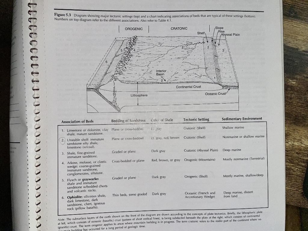 Solved What kind of sandstone in terms of maturity, texture, | Chegg.com