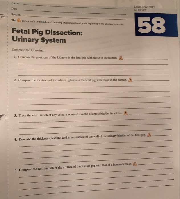 Solved Name LABORATORY REPORT Date cort Section The A | Chegg.com