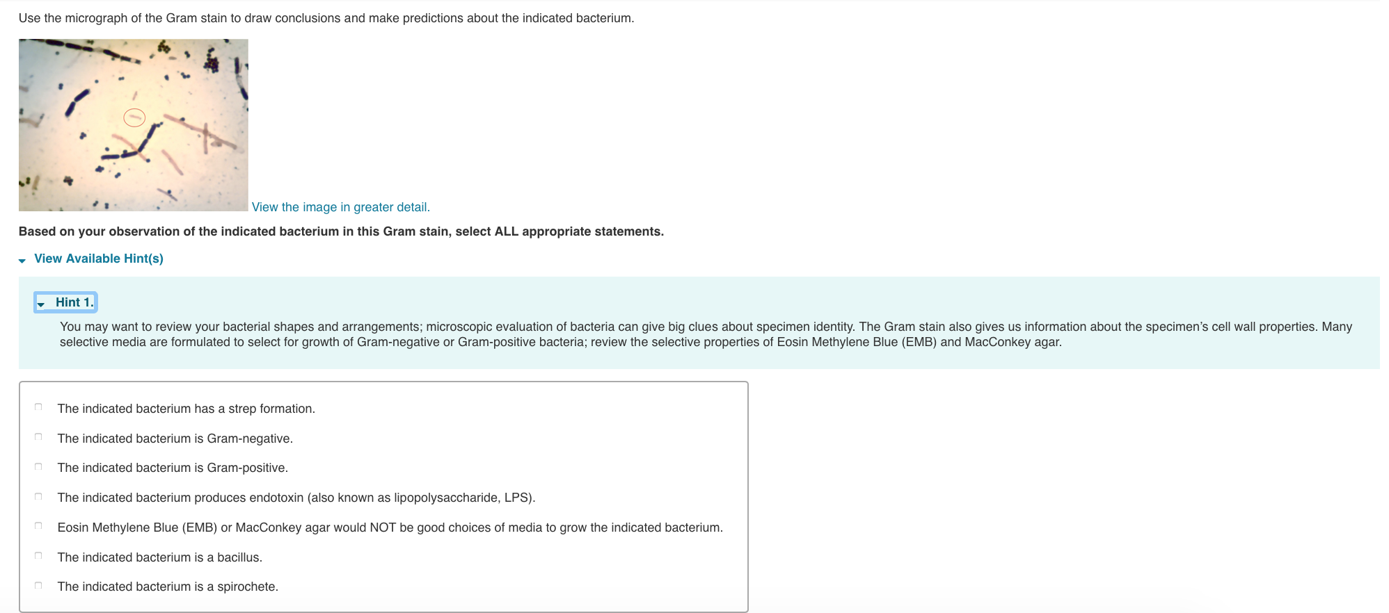 Solved Use the micrograph of the Gram stain to draw | Chegg.com