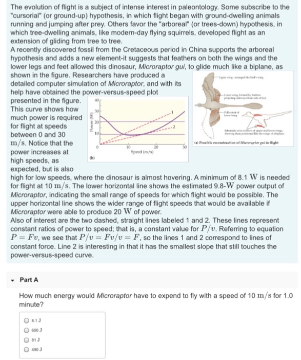 Solved The evolution of flight is a subject of intense | Chegg.com